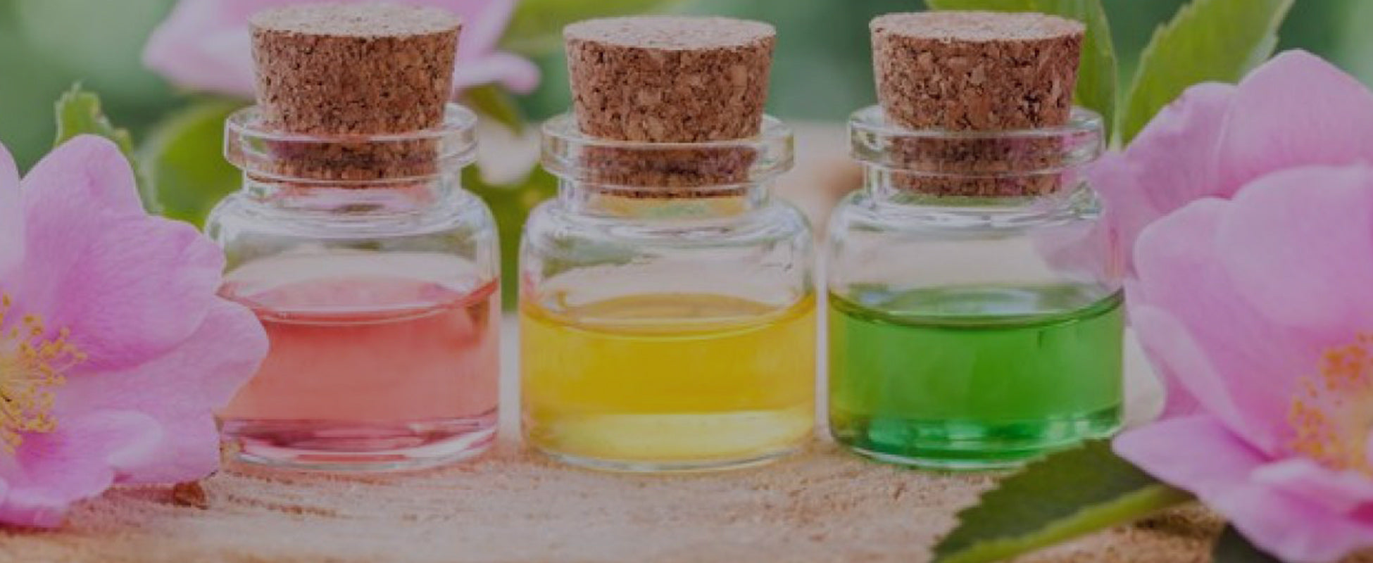 Aroma Chemicals – Source Aroma